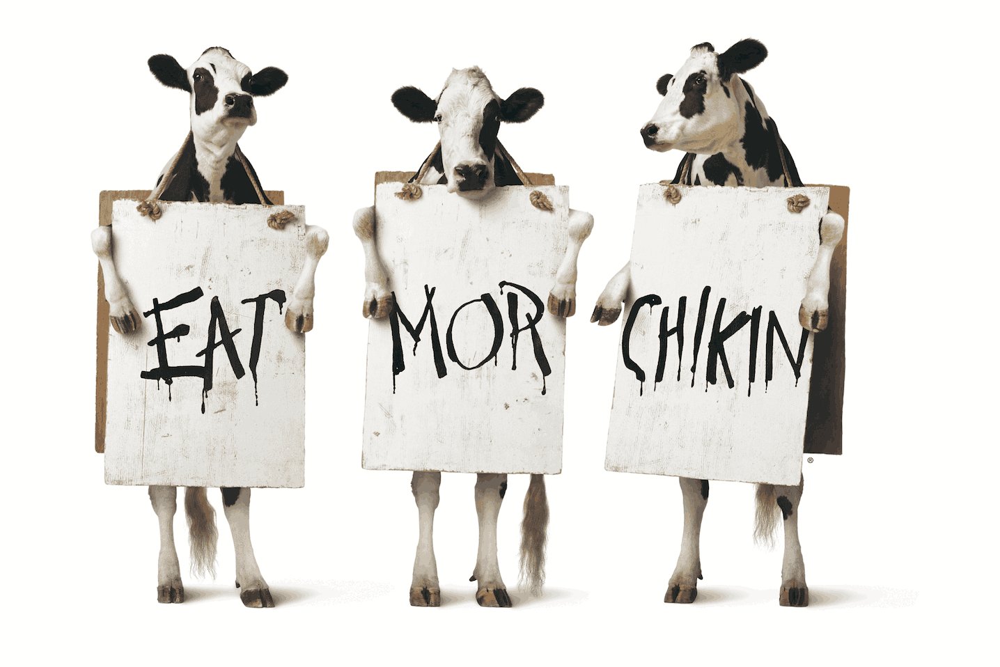 Who are the Cows? | Chick-fil-A